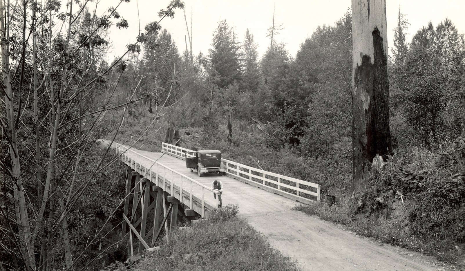 The Bridges of King County: Through the Lens of T.P. Blum – Bytes and Boxes