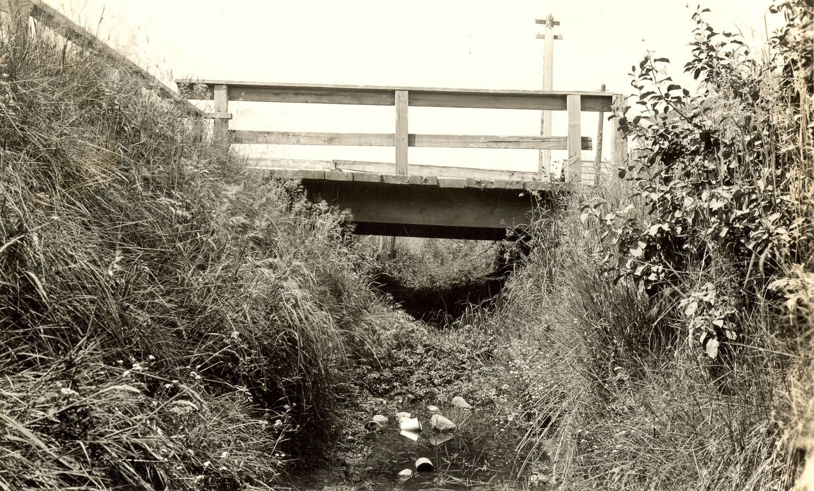 The Bridges of King County: Through the Lens of T.P. Blum – Bytes and Boxes